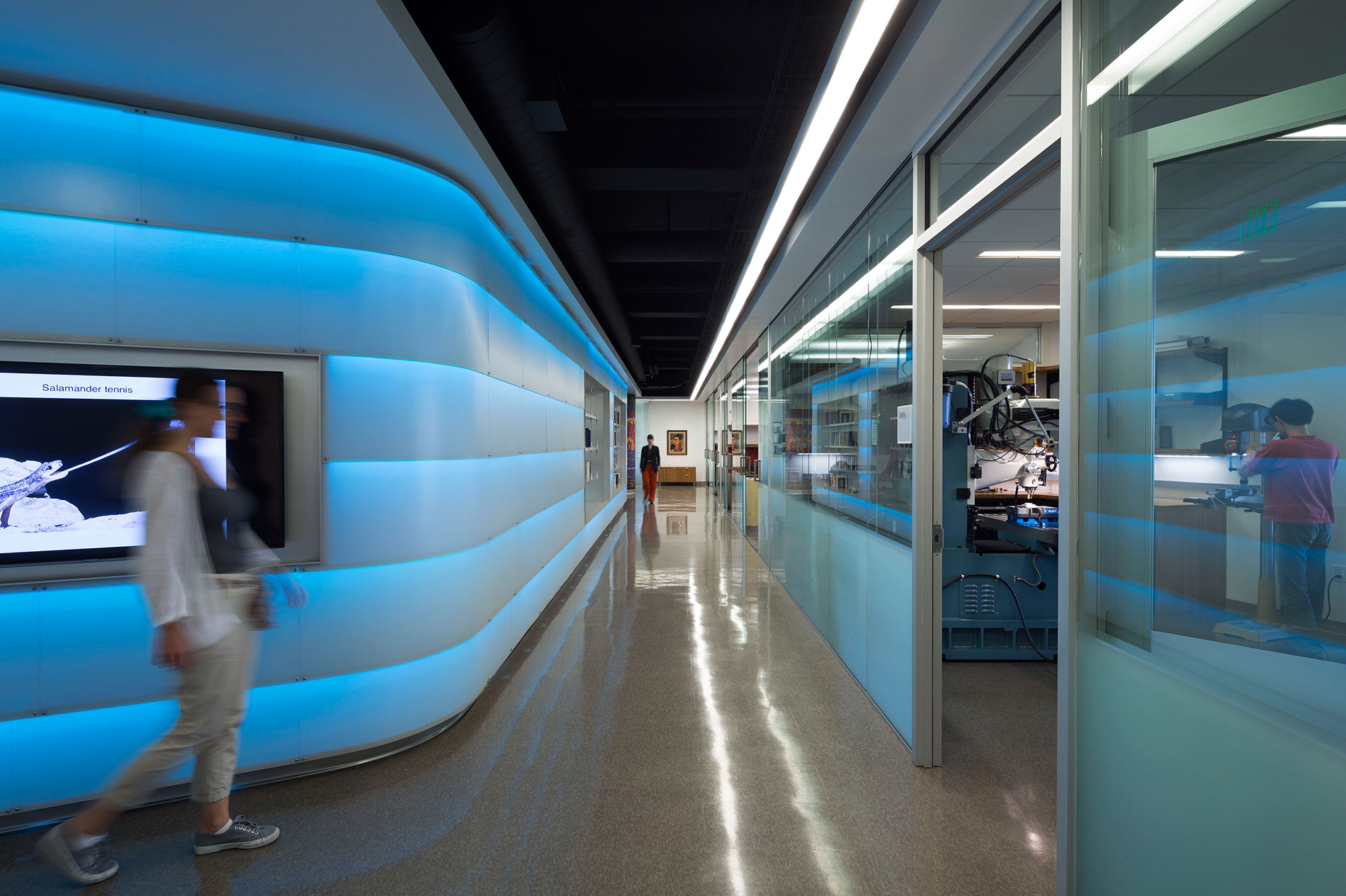 California Institute of Technology, Meister Lab - Snyder Langston