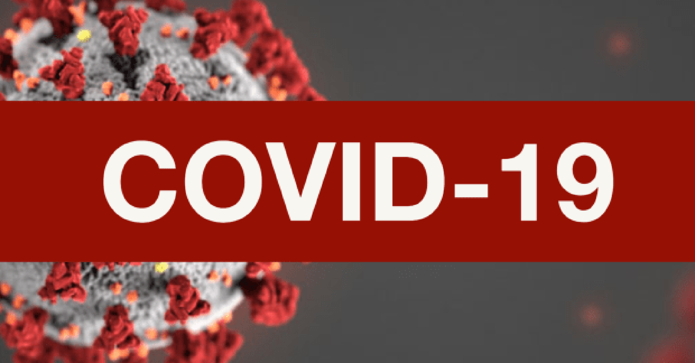 Coronavirus Graphic 1 - Snyder Langston